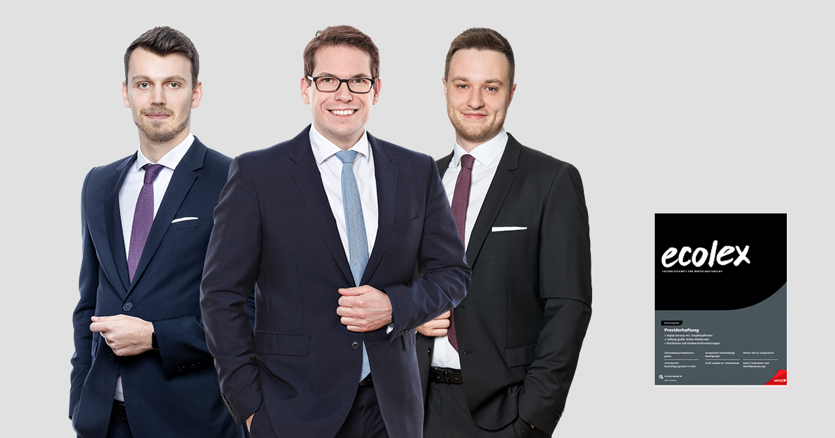 Schwerpunkt Providerhaftung