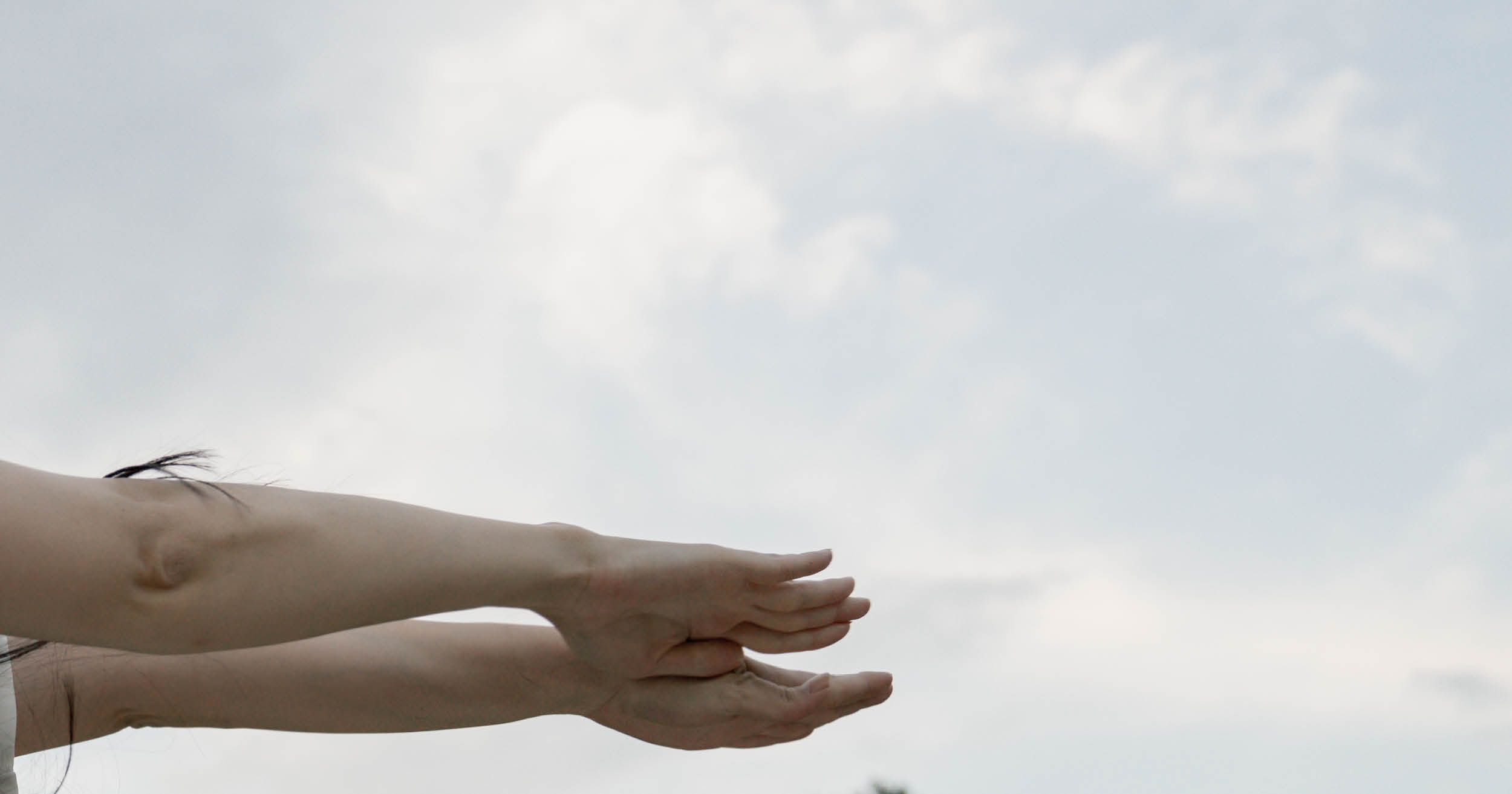 Schoenherr Attorneys at Law