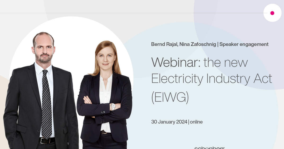 Begutachtungsentwurf - ElWG